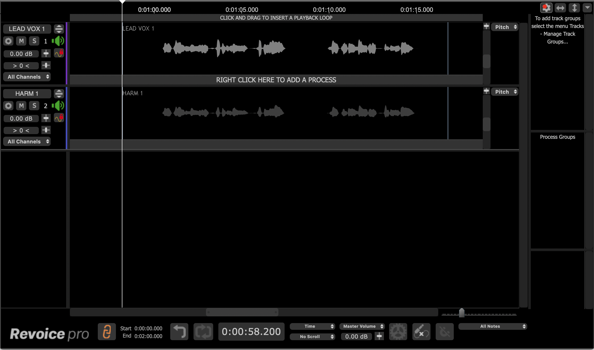 Enabling Adjust Time / Pitch / Level